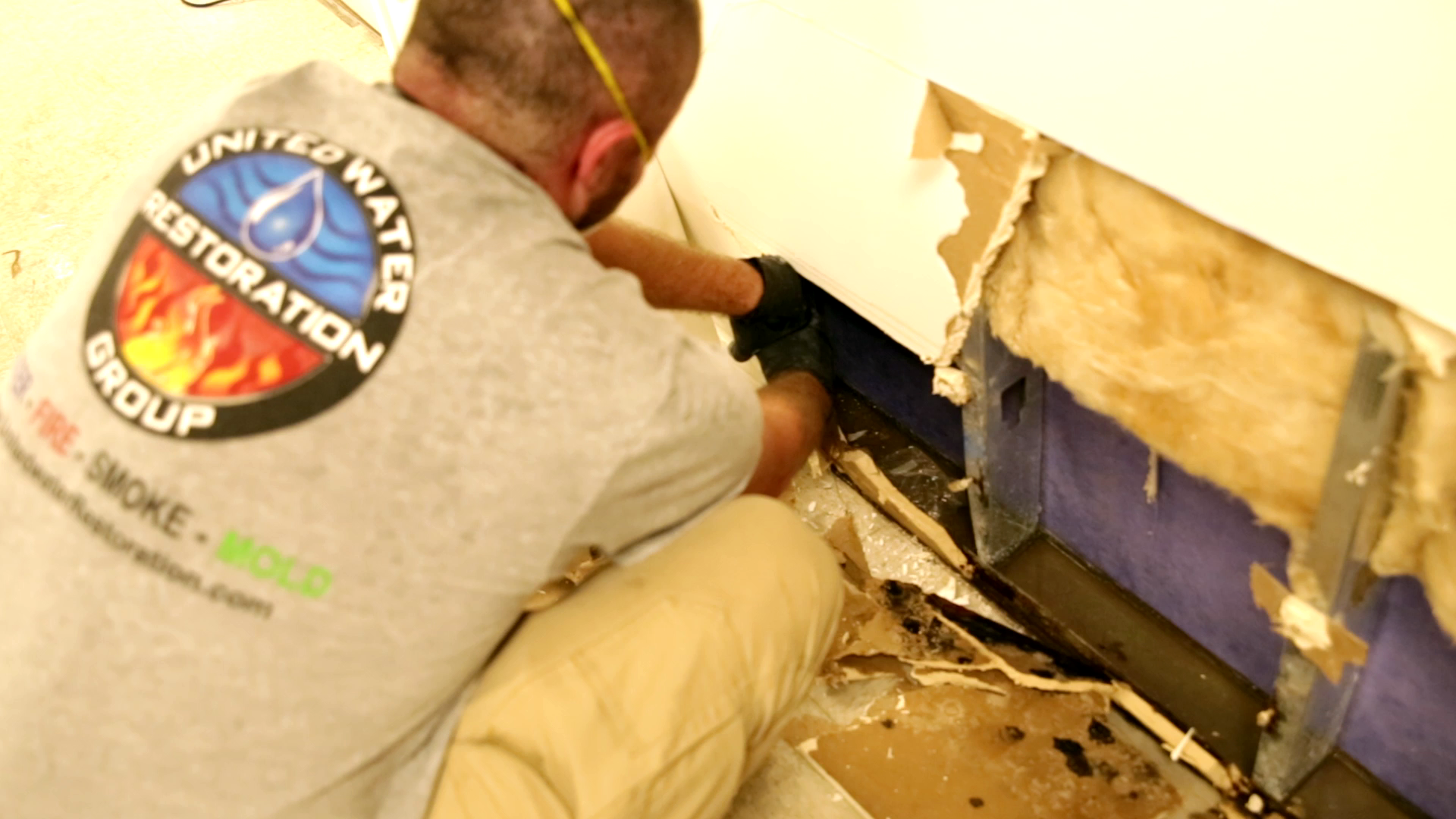 How Restoration Companies Remove Mold In 5 Steps | UWRG